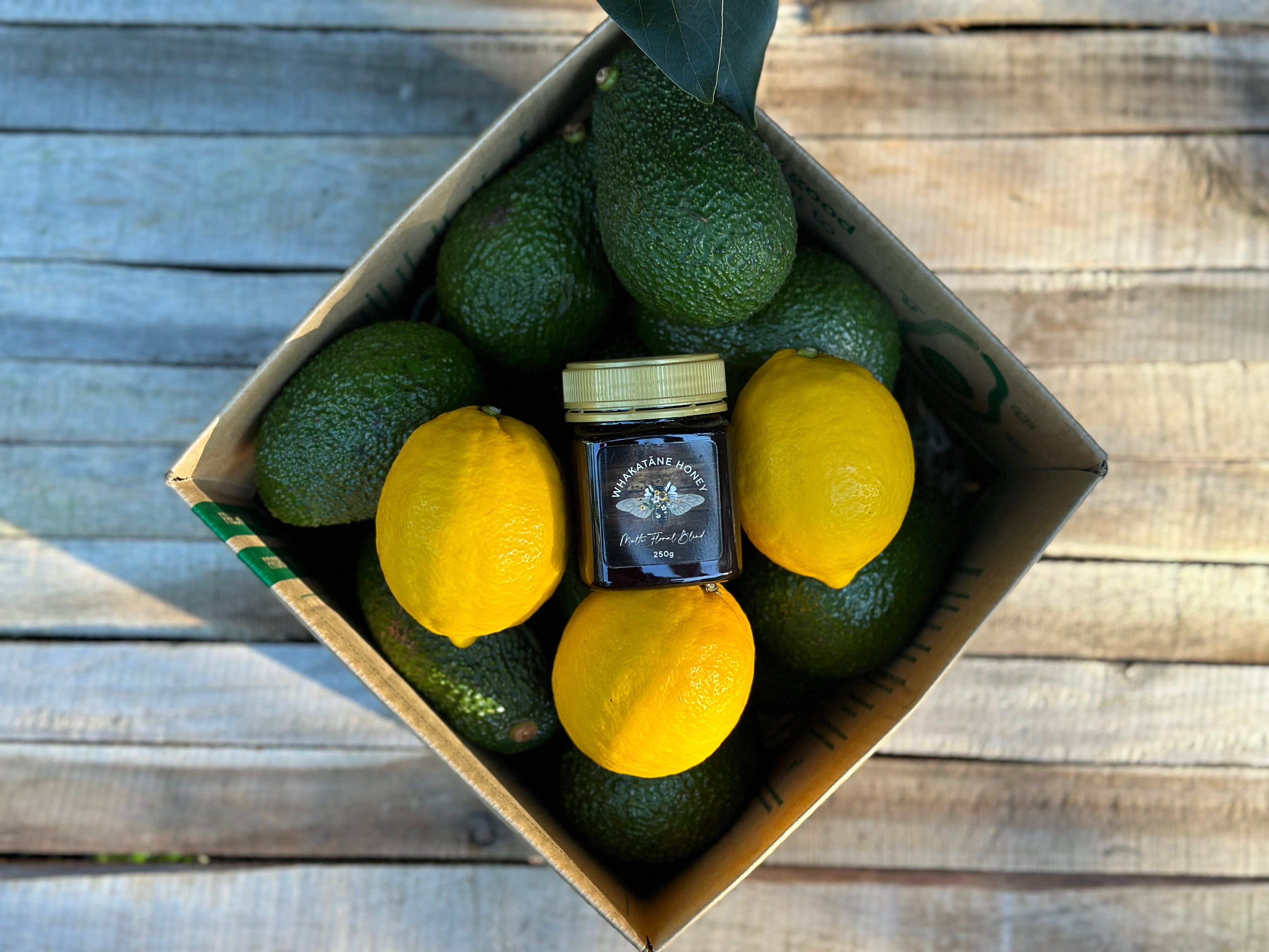 3kg Mixed Box of Avocados | Buy Avocados Online NZ